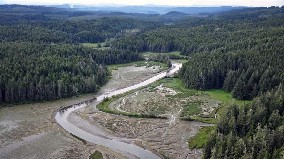 New Tool Identifies Carbon Hotspots in Oregon's Largest Estuary | The ...