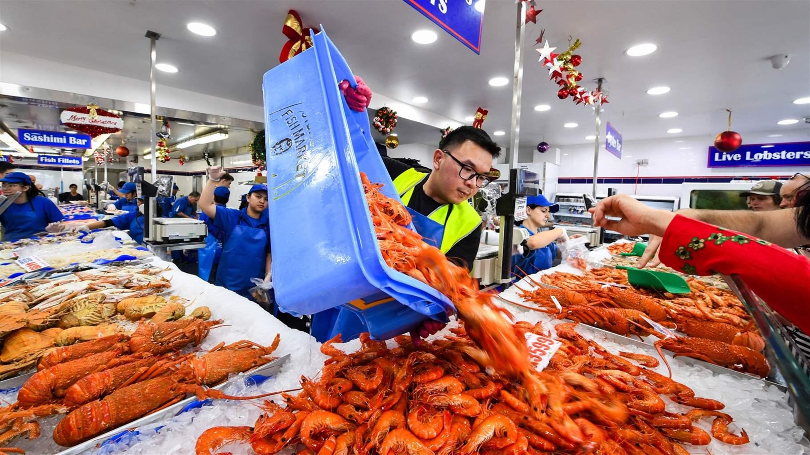 Seafood Buyers Should Advocate for Greater Transparency of Fishing ...