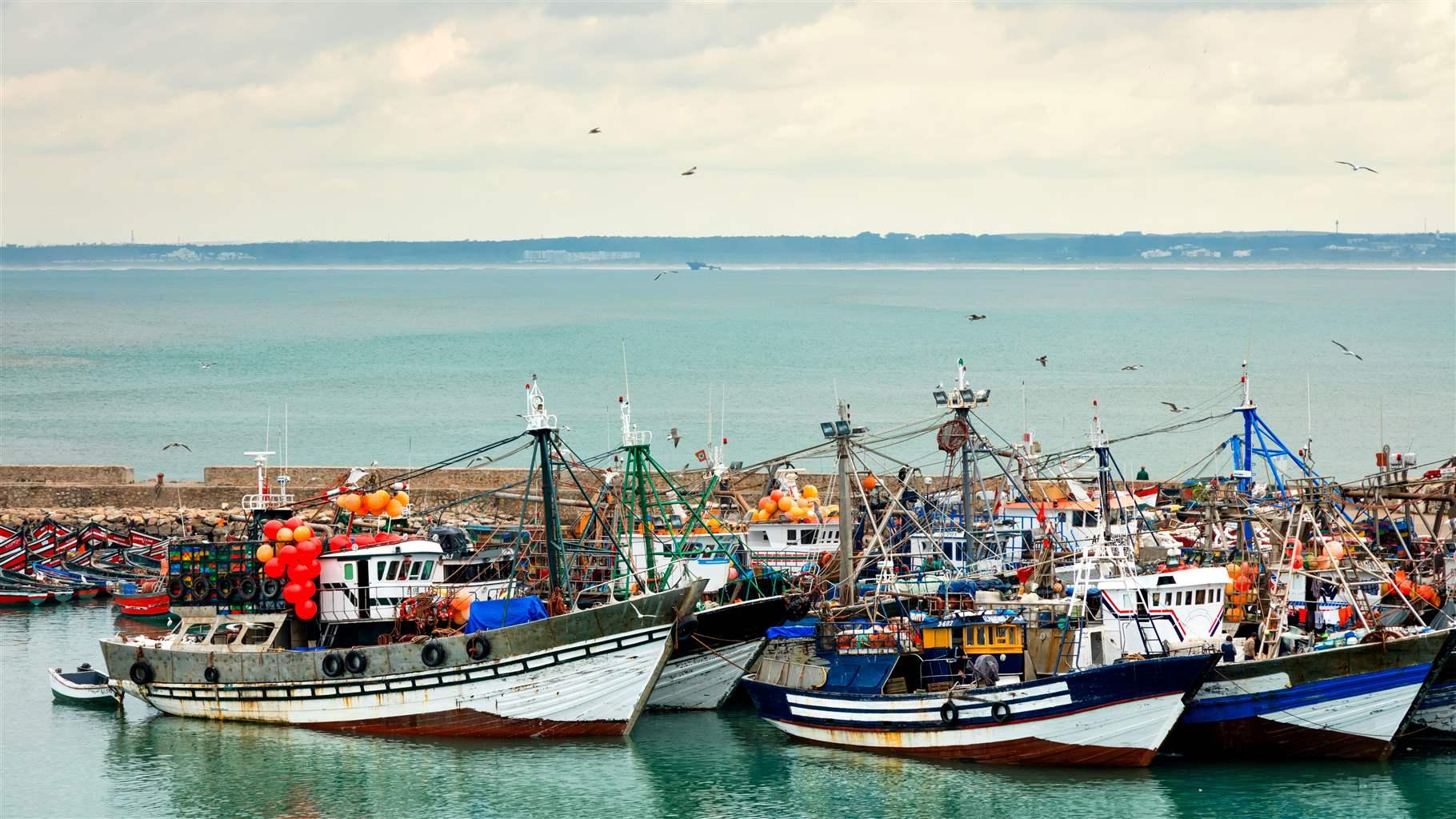 Prevent Overfishing Through Robust Fisheries Management | The Pew ...