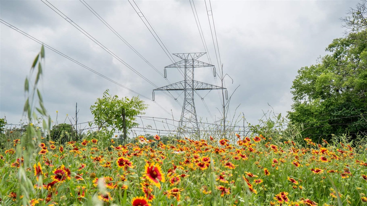 To Ease Energy Transmission Gridlock, States Look to Grid-Enhancing ...