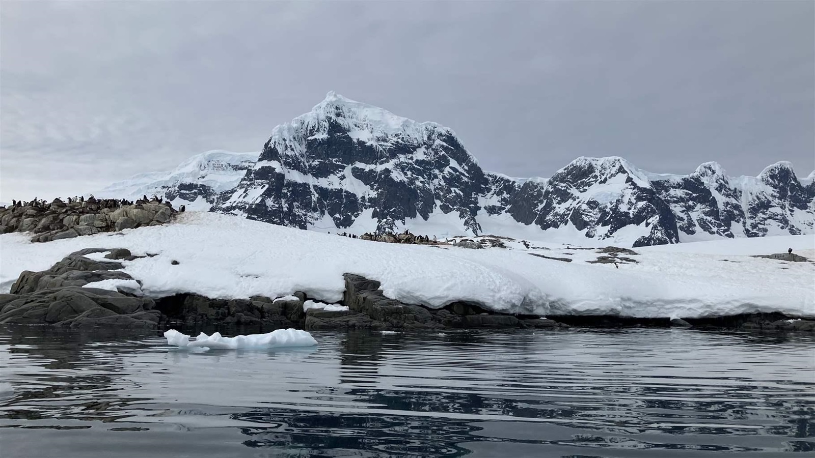 Antarctica Visit Offers First-Hand Look at Beauty—and Threats | The Pew ...