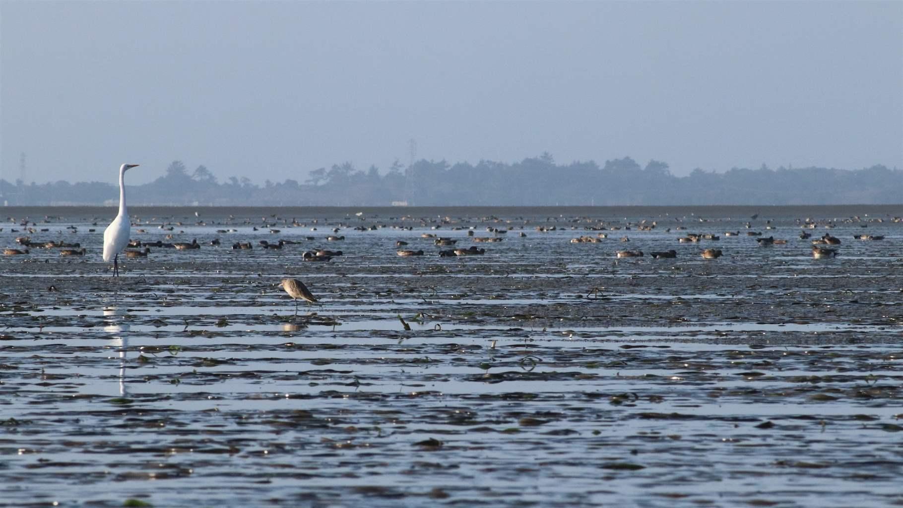 California Proposes Framework to Gauge Protections for Coastal Waters | The Pew Charitable Trusts