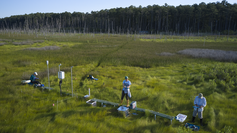 Innovative Mapping Tool Reveals Hidden Wetlands and Enhances ...