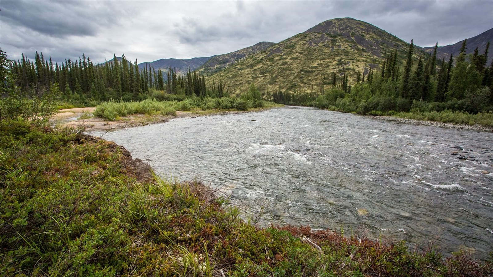 New Federal Plan Balances Conservation, Other Uses Across Vast Public ...