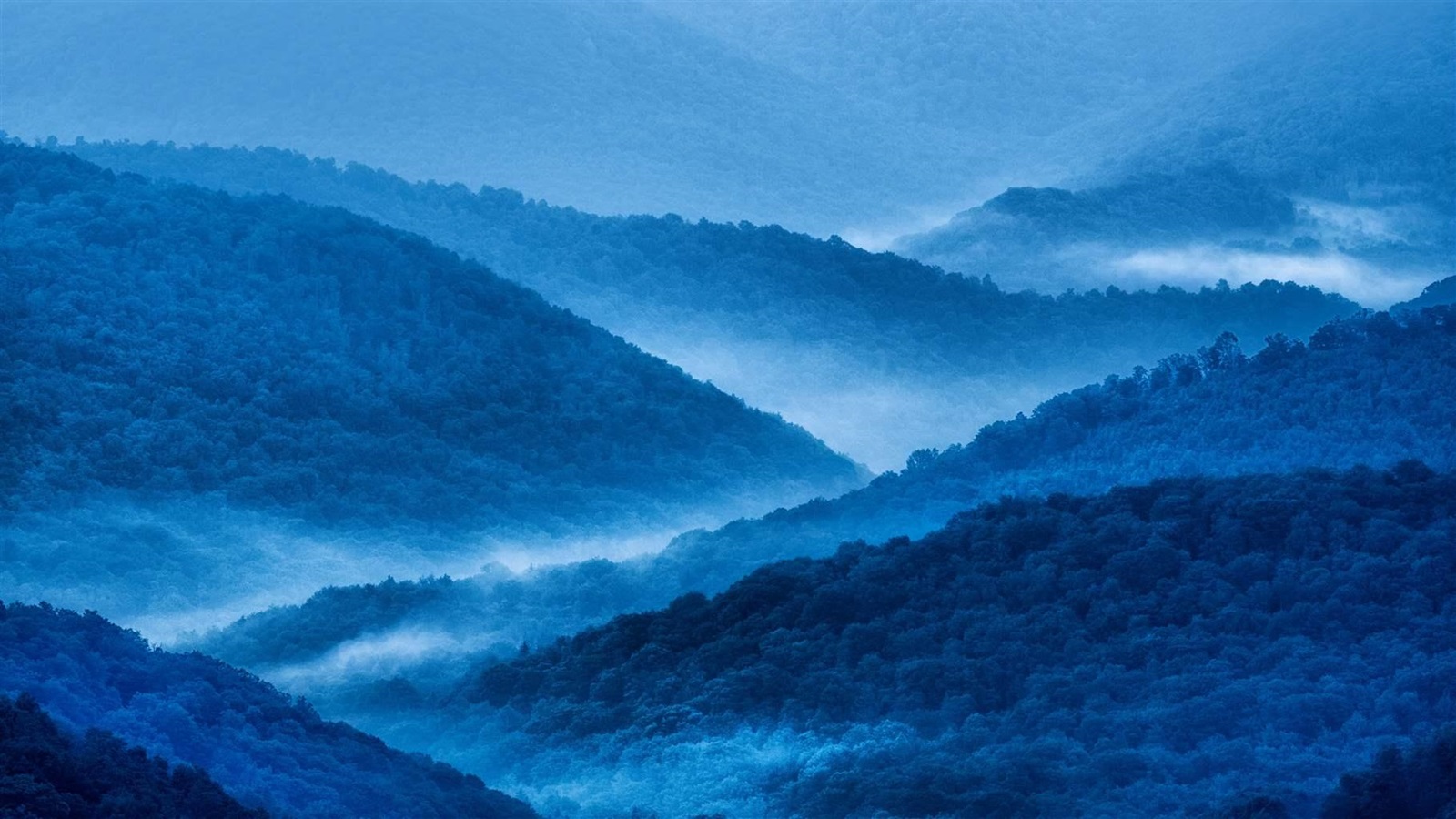 5 Ways to Help Nature and Communities Build Climate Resilience | The ...