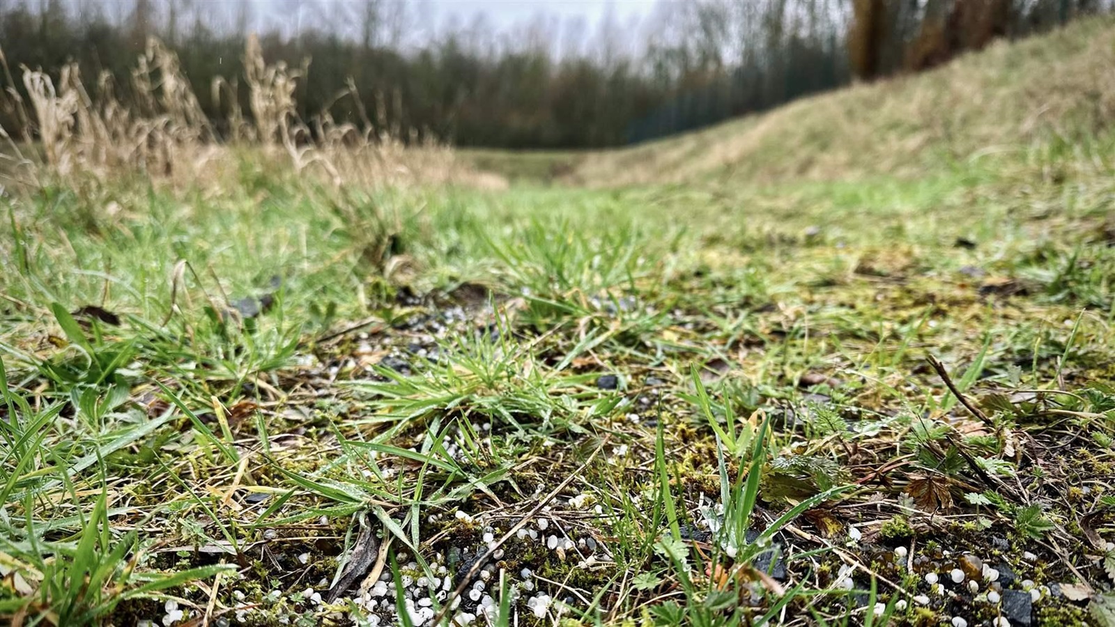 8 Ways the EU Can Strengthen Plastic Pollution Legislation | The Pew ...