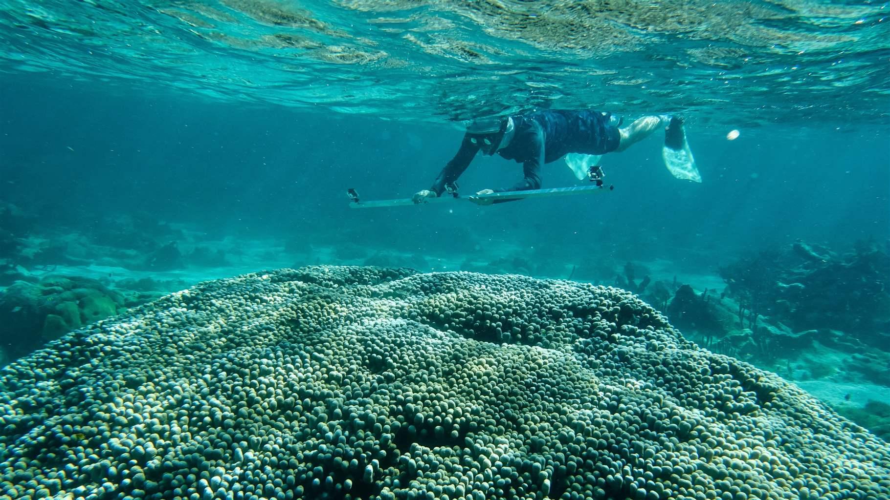 Technology Aids Marine Conservation | The Pew Charitable Trusts
