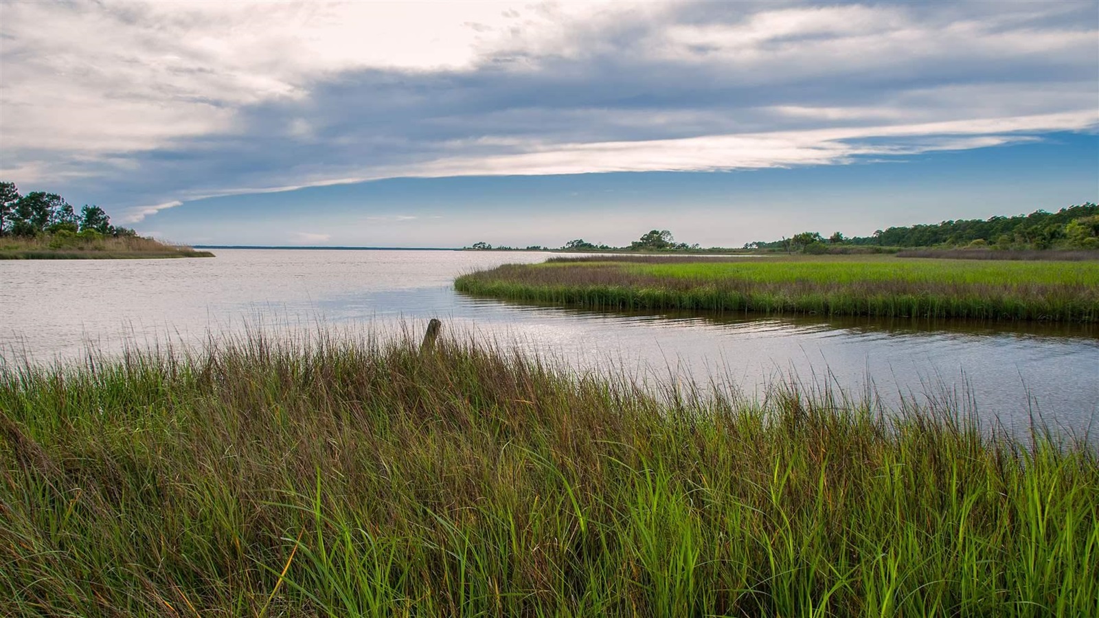 Plan Could Boost Resilience of North Florida Estuary and Famous Oyster ...