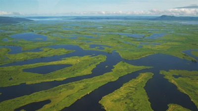 New Project Aims to Protect South America's Chaco-Pantanal Wildlands ...
