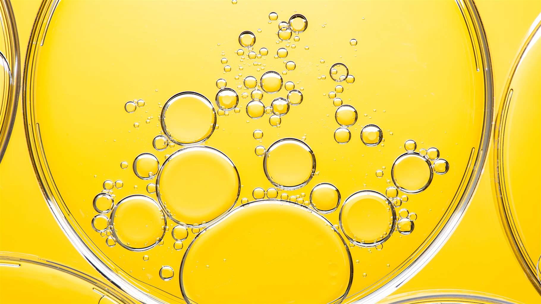 Pew Welcomes Its First Civic Science Fellow to Work With Funders ...