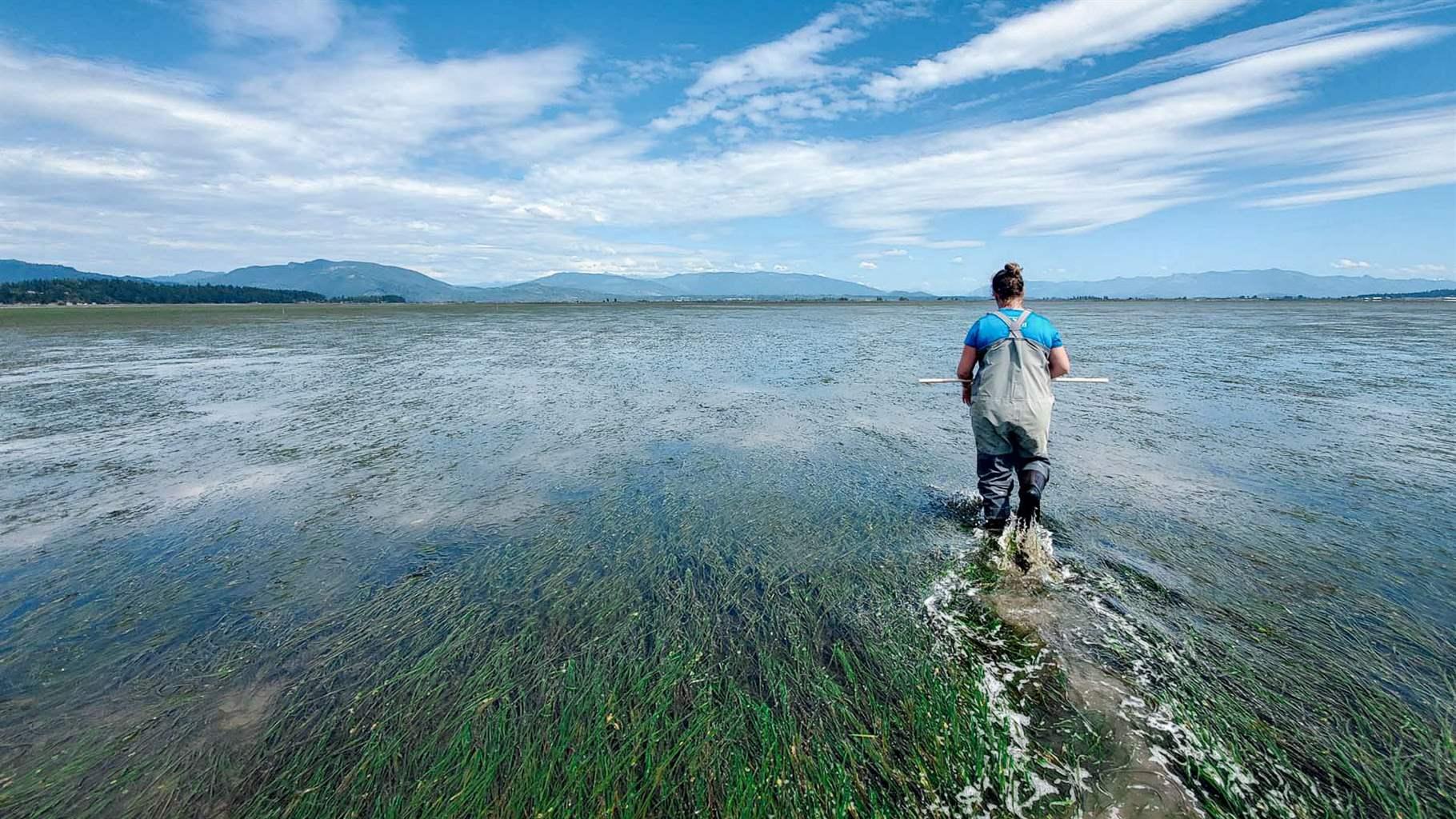 New Study Reveals True Size of Many U.S. Estuaries | The Pew Charitable ...