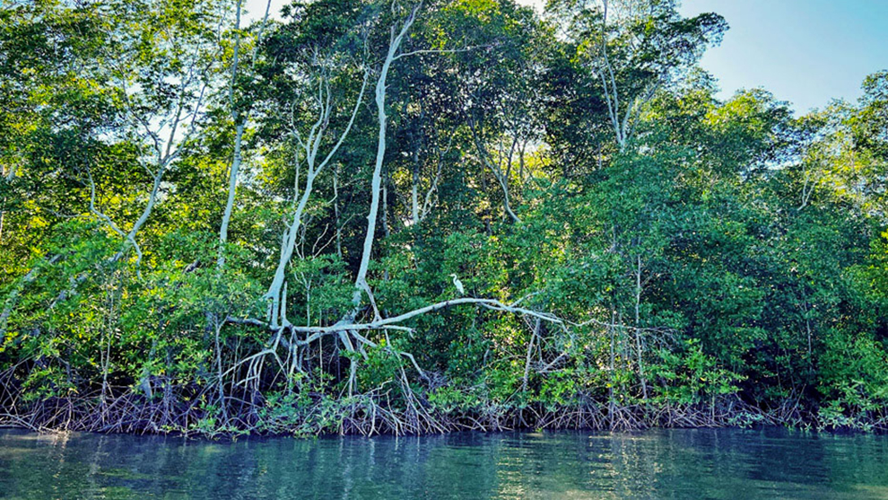 Along Honduras' Coasts, a Key to Conservation Success | The Pew ...