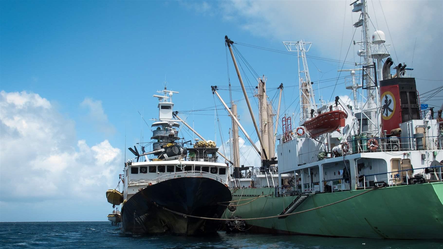 In Western and Central Pacific Ocean, Fisheries Managers Must Step Up ...
