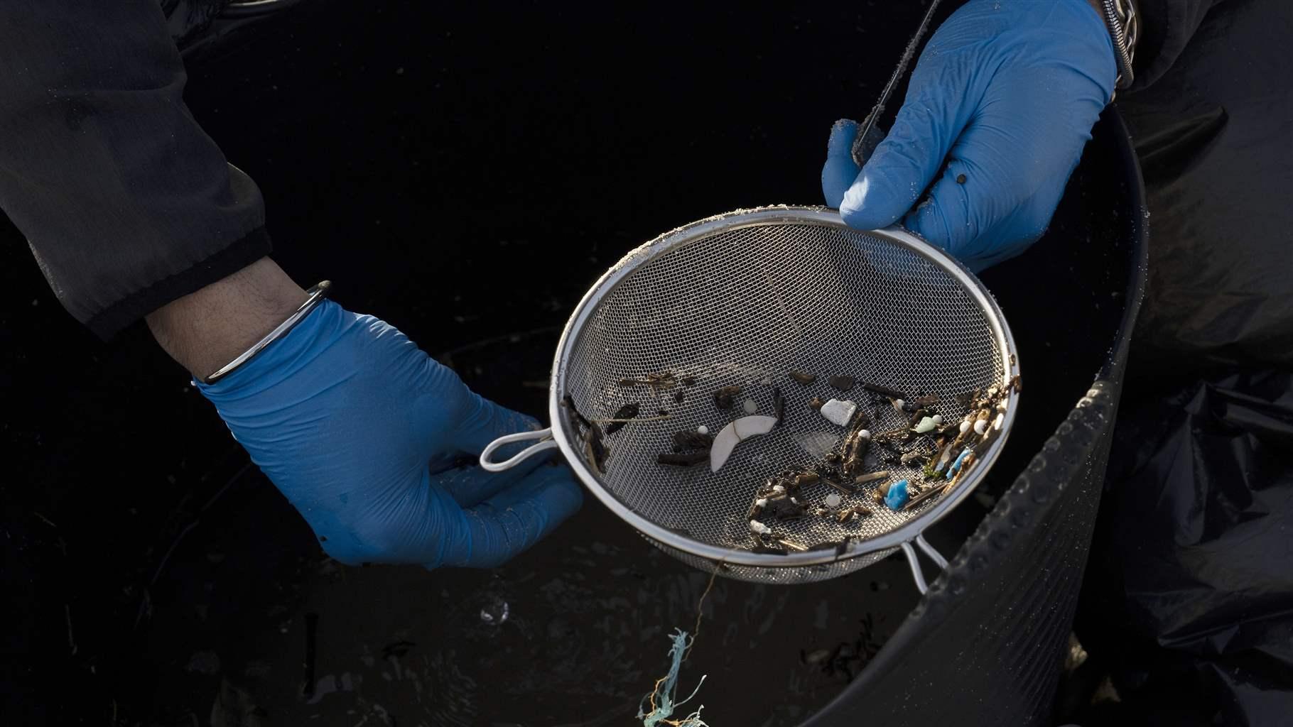 Top 7 Reasons to Curb Microplastic Pollution | The Pew Charitable Trusts