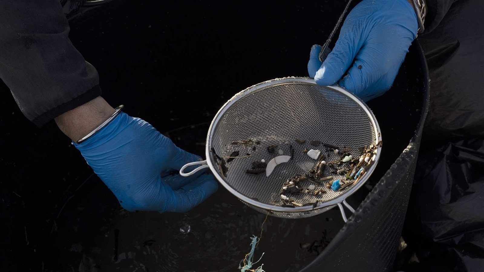 Top 7 Reasons to Curb Microplastic Pollution | The Pew Charitable Trusts