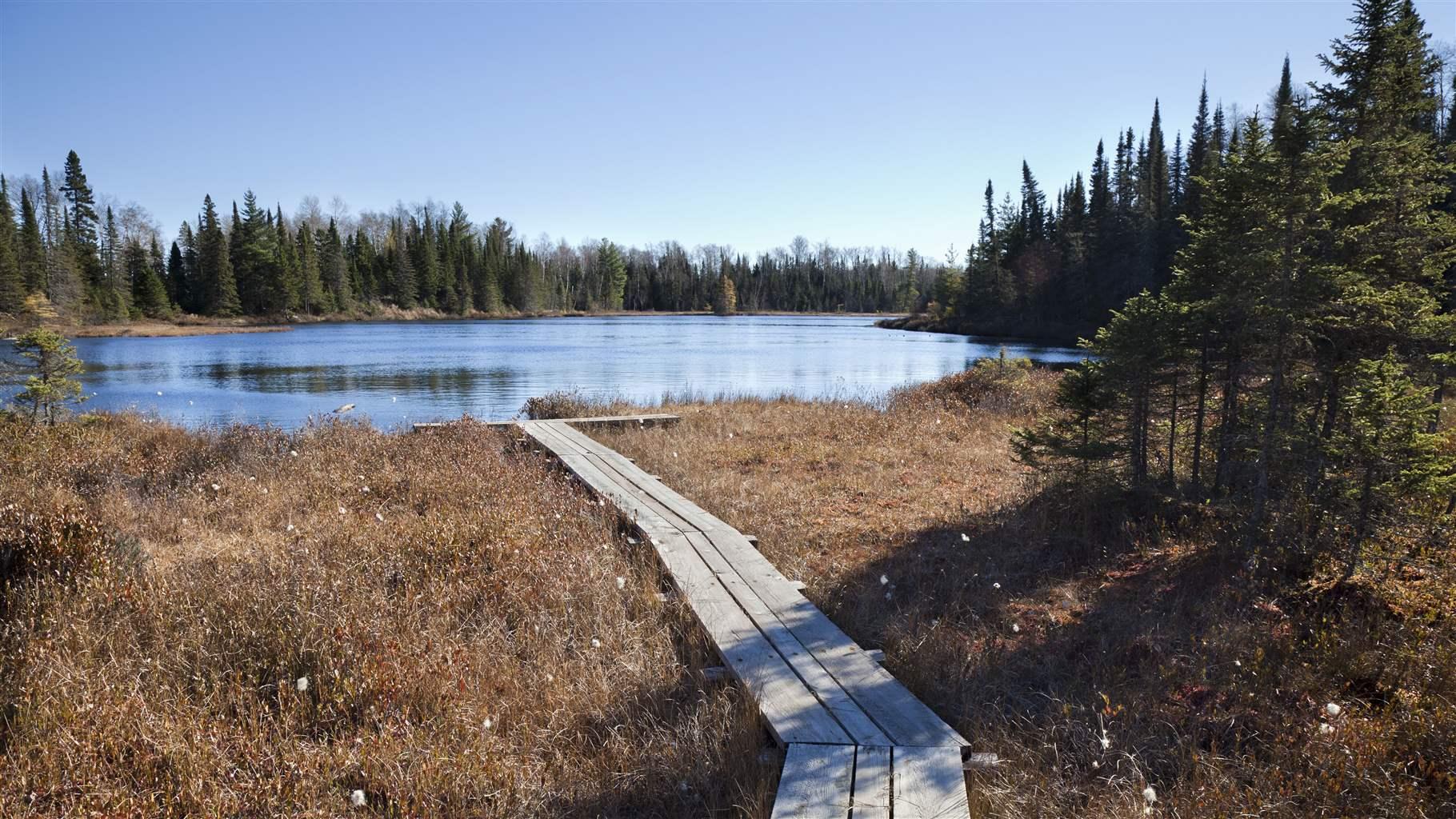 Peatlands Play a Vital Ecological and Economic Role in the U.S. | The ...