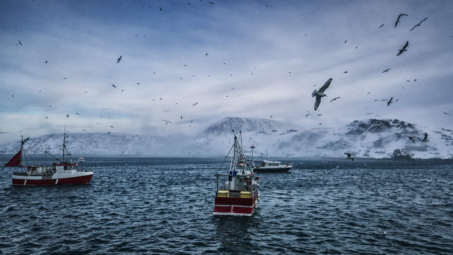 Protect Marine Life | The Pew Charitable Trusts