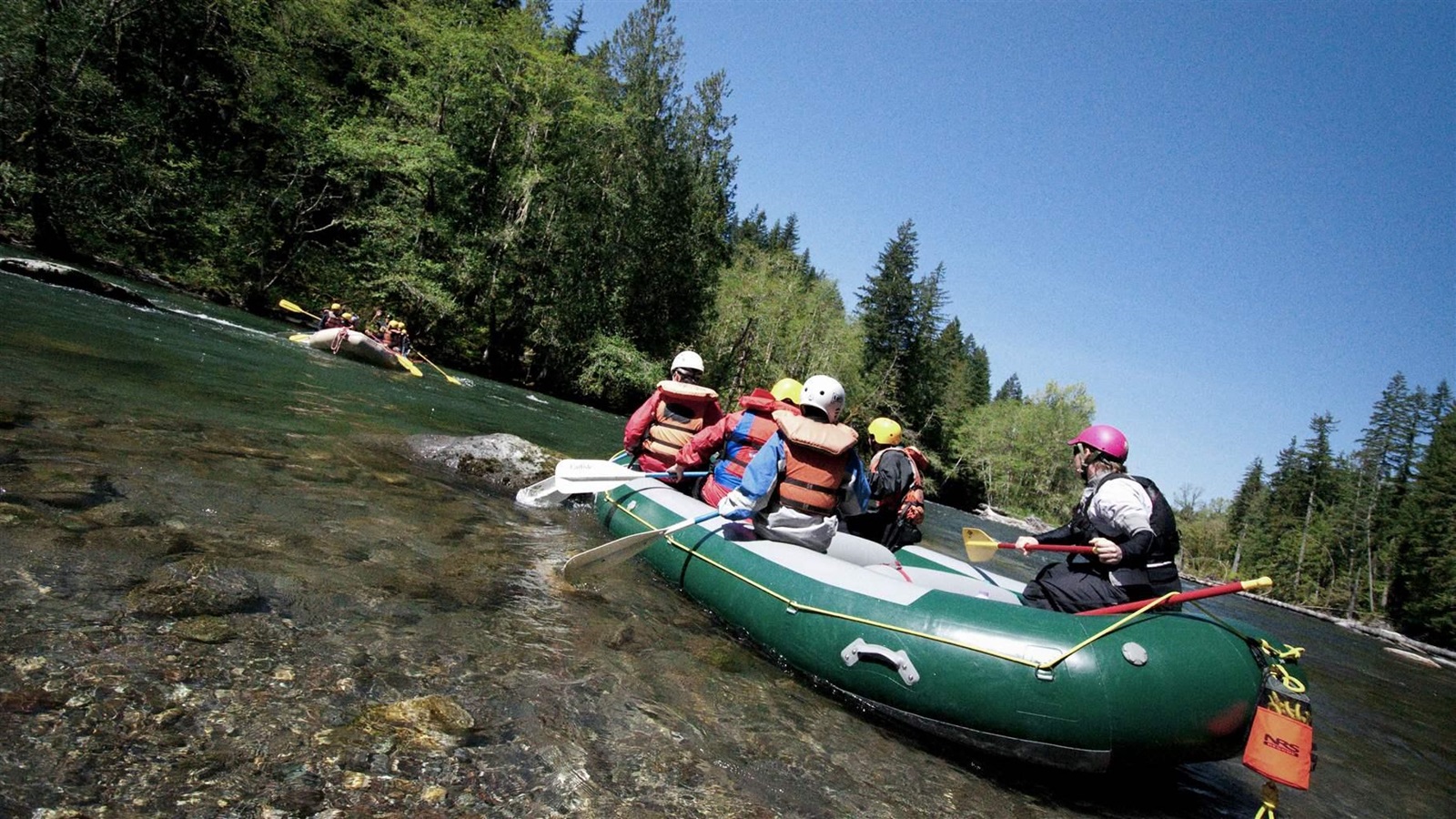 Pacific Northwest Forest Proposal Reflects Advisory Committee's Diverse ...