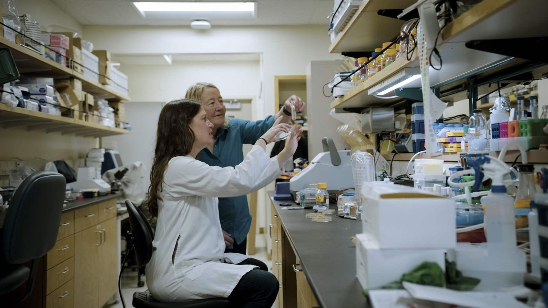 40 Years of Innovation: How Pew's Biomedical Programs Have Transformed ...