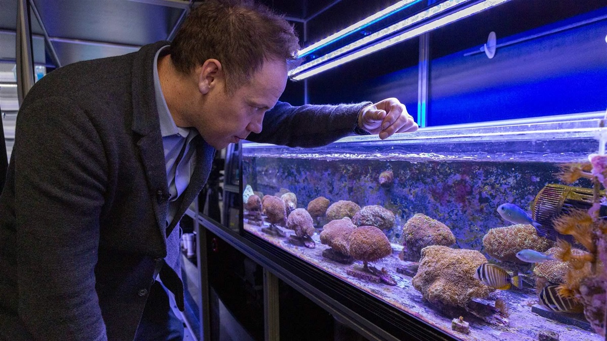 How Biomedical Innovation Is Powering Marine Conservation | The Pew ...
