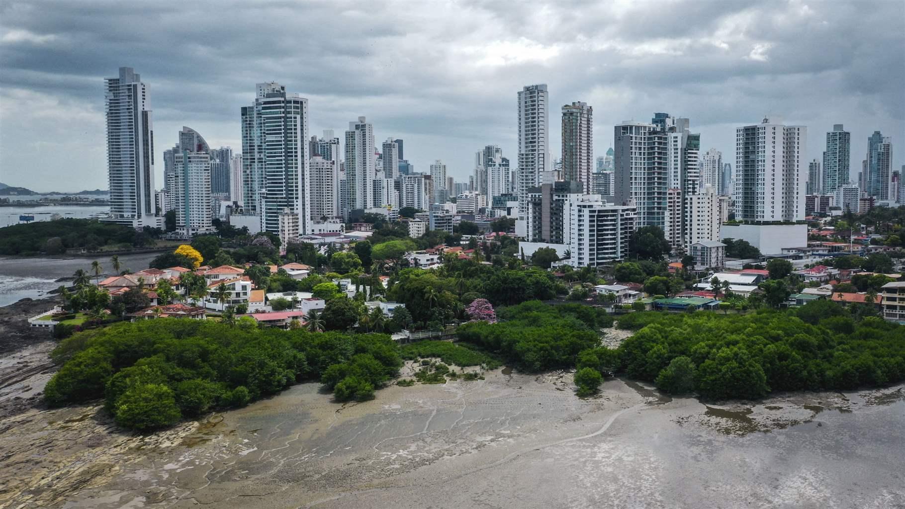 By Increasing Mangrove Protections Now, Coastal Countries Can Help ...