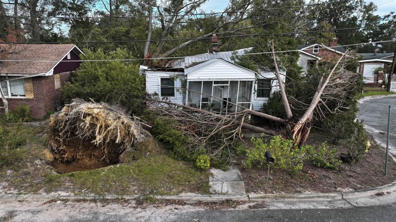 Local and Regional Successes Can Inform Statewide Resilience Efforts in ...