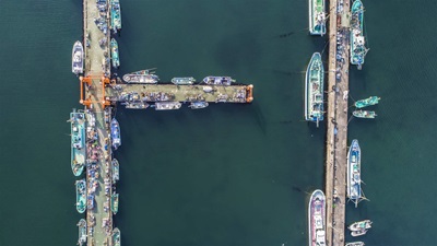 How to Put Ecosystem-Based Fisheries Management Into Practice | The Pew Charitable Trusts