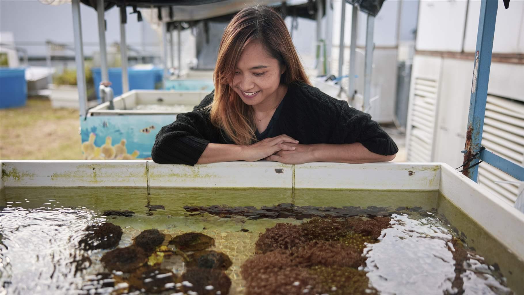 Lab-Grown Baby Corals Offer New Hope for Hong Kong’s Marine Ecosystems ...