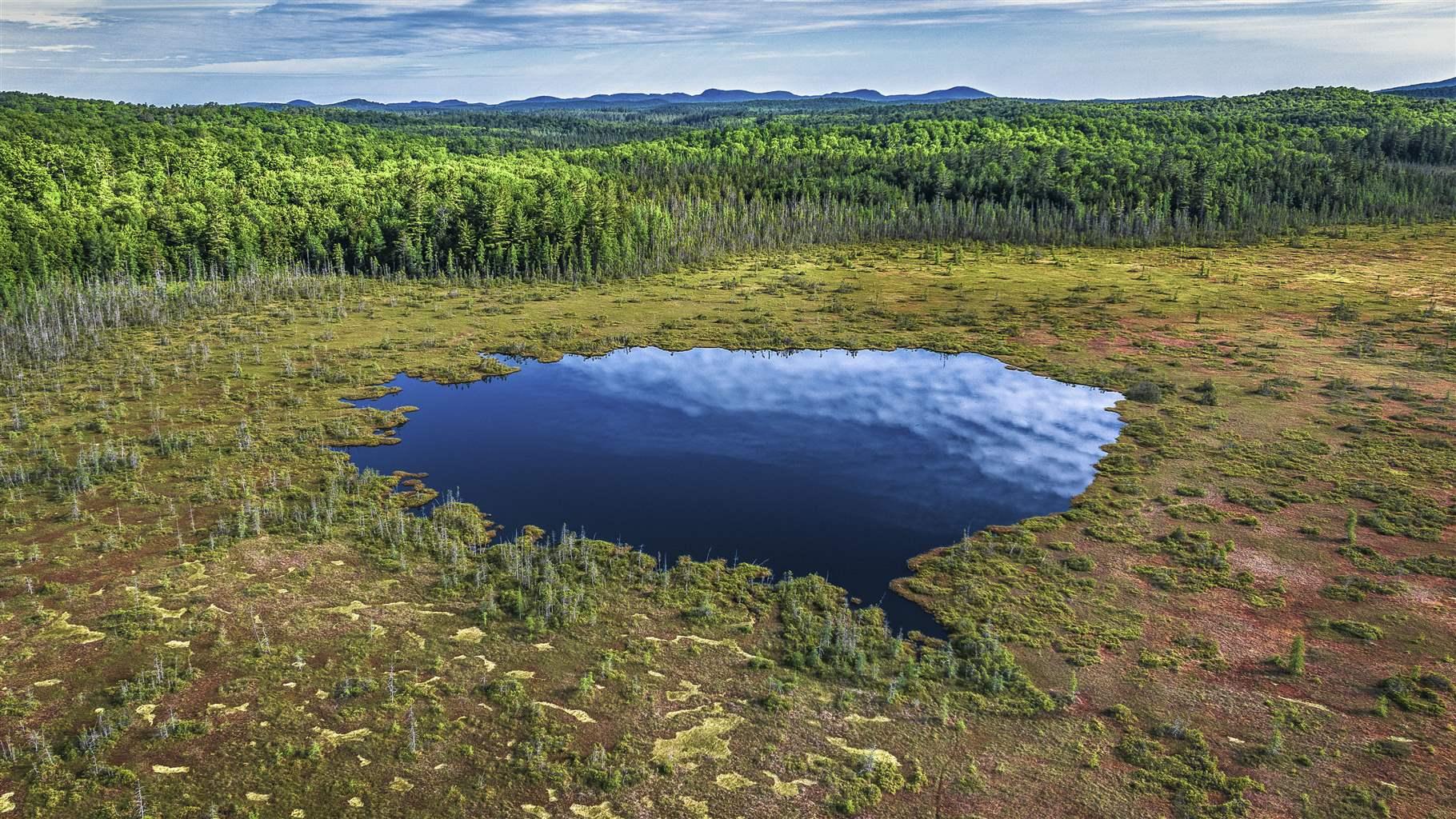 Peatlands Play a Vital Ecological and Economic Role in the U.S. | The ...