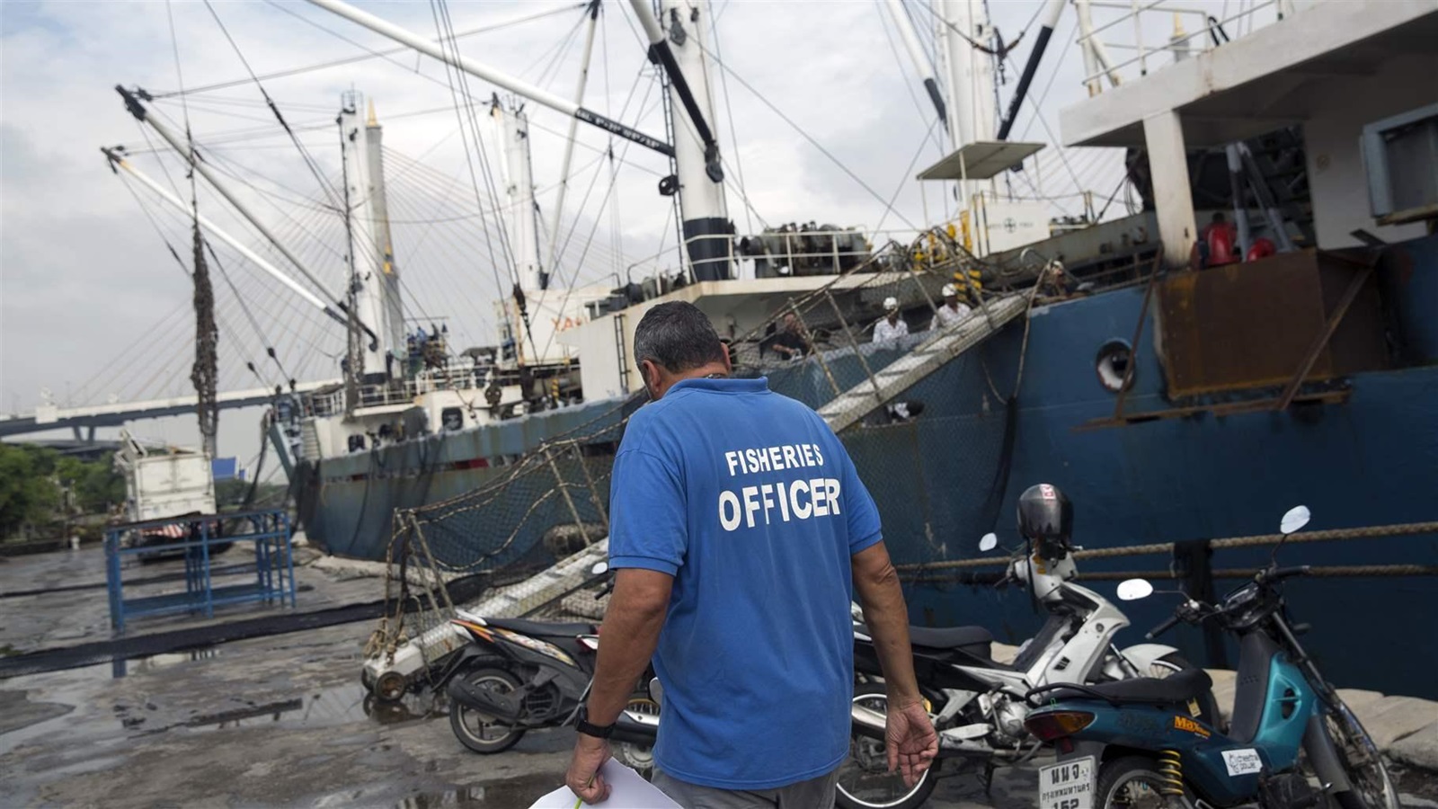 Australia Protects Vast Area in Southern Ocean | The Pew Charitable Trusts