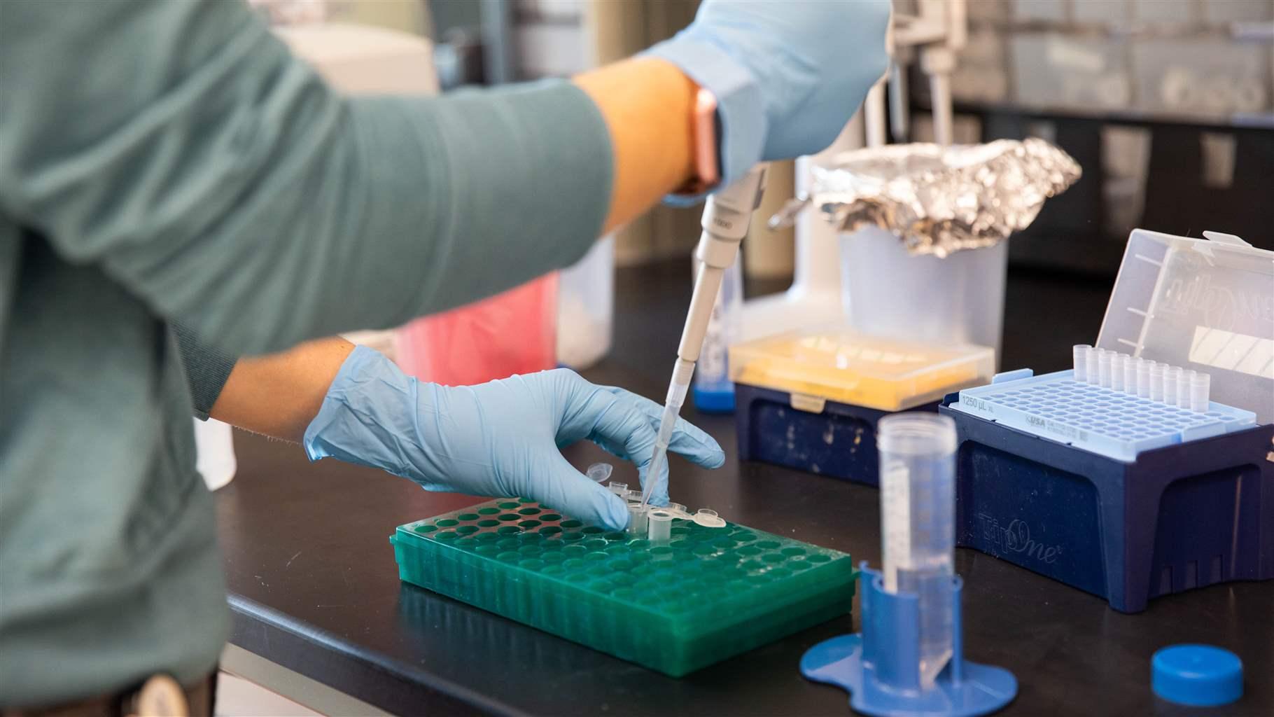 Groundbreaking Scientific Research Spans 4 Decades | The Pew Charitable ...