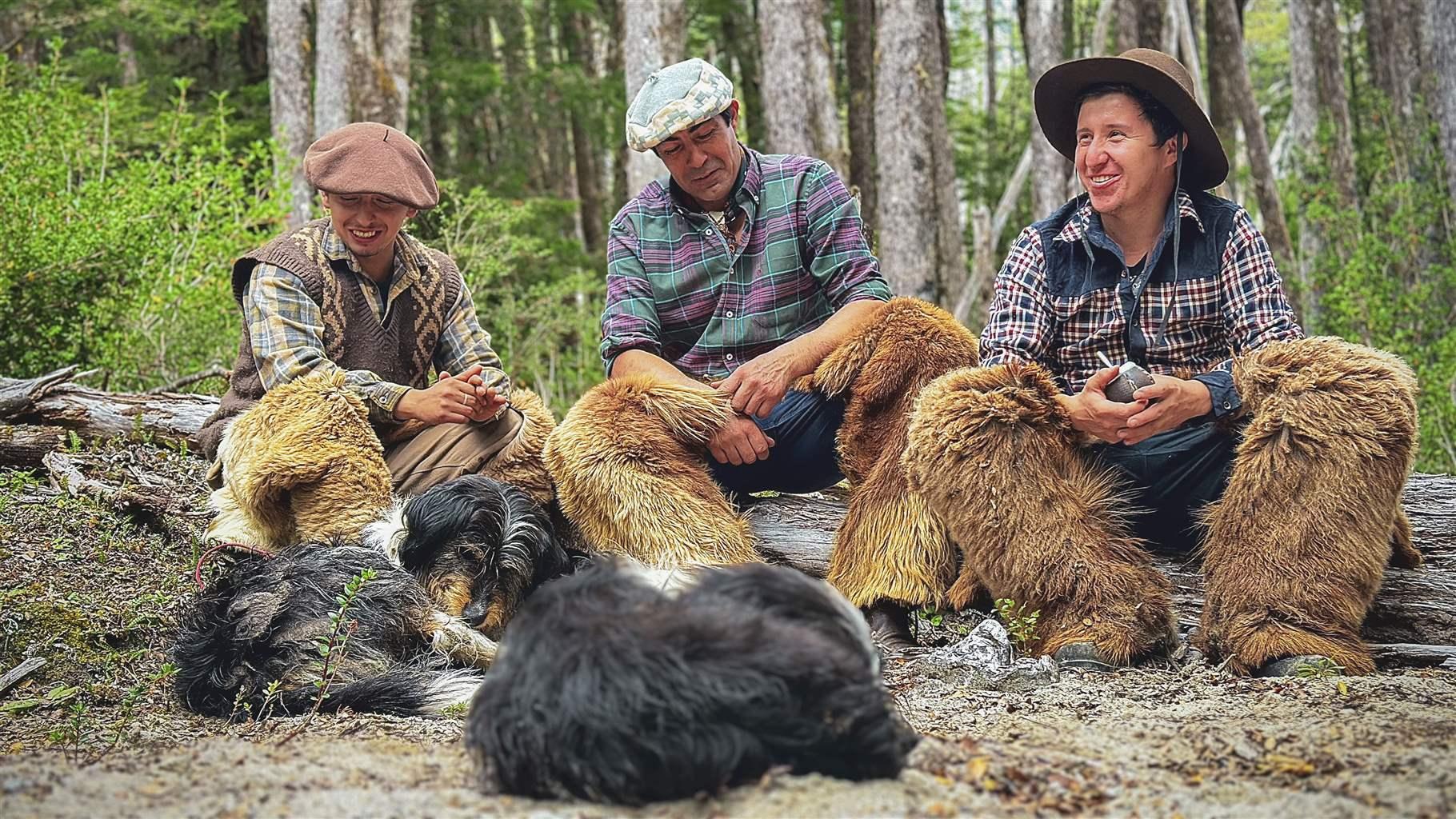 Chilean Patagonia Community Seeks to Create New Conservation Area | The ...