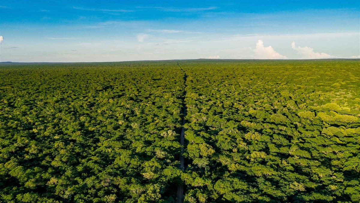 ‘The Forest Is Our Home’: Protected Area Connects South American ...