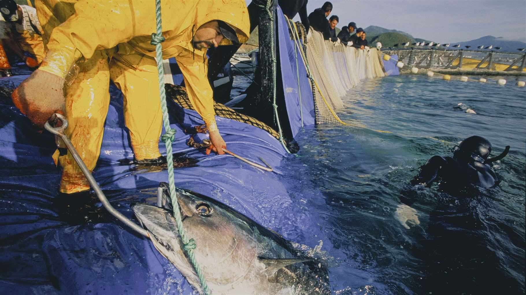 More Than 100,000 Fishing-Related Deaths Occur Each Year, Study Finds ...
