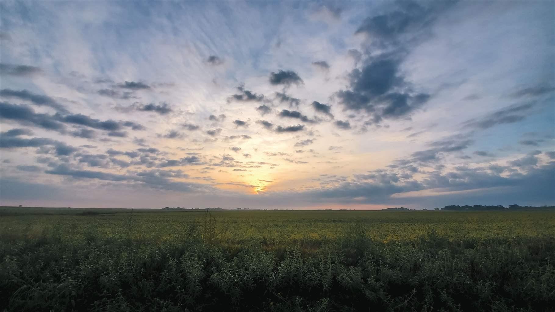 In Rural Indiana, One Woman Connects Her Community to Lifesaving ...