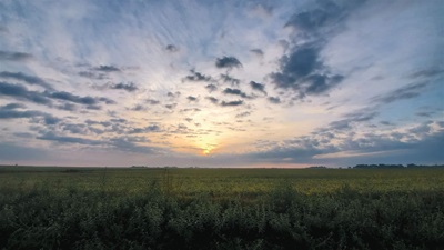 What Science Tells Us About the Secrets Behind Sleep | The Pew Charitable Trusts