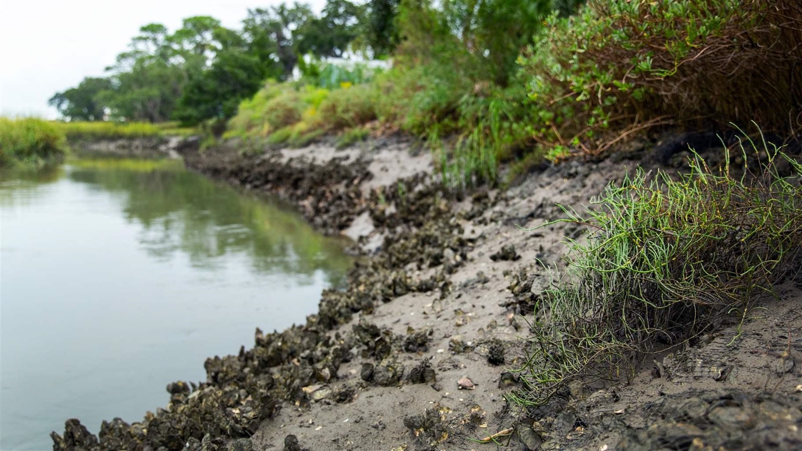 Small Communities Can Leverage Big Resources for Disaster Resilience ...