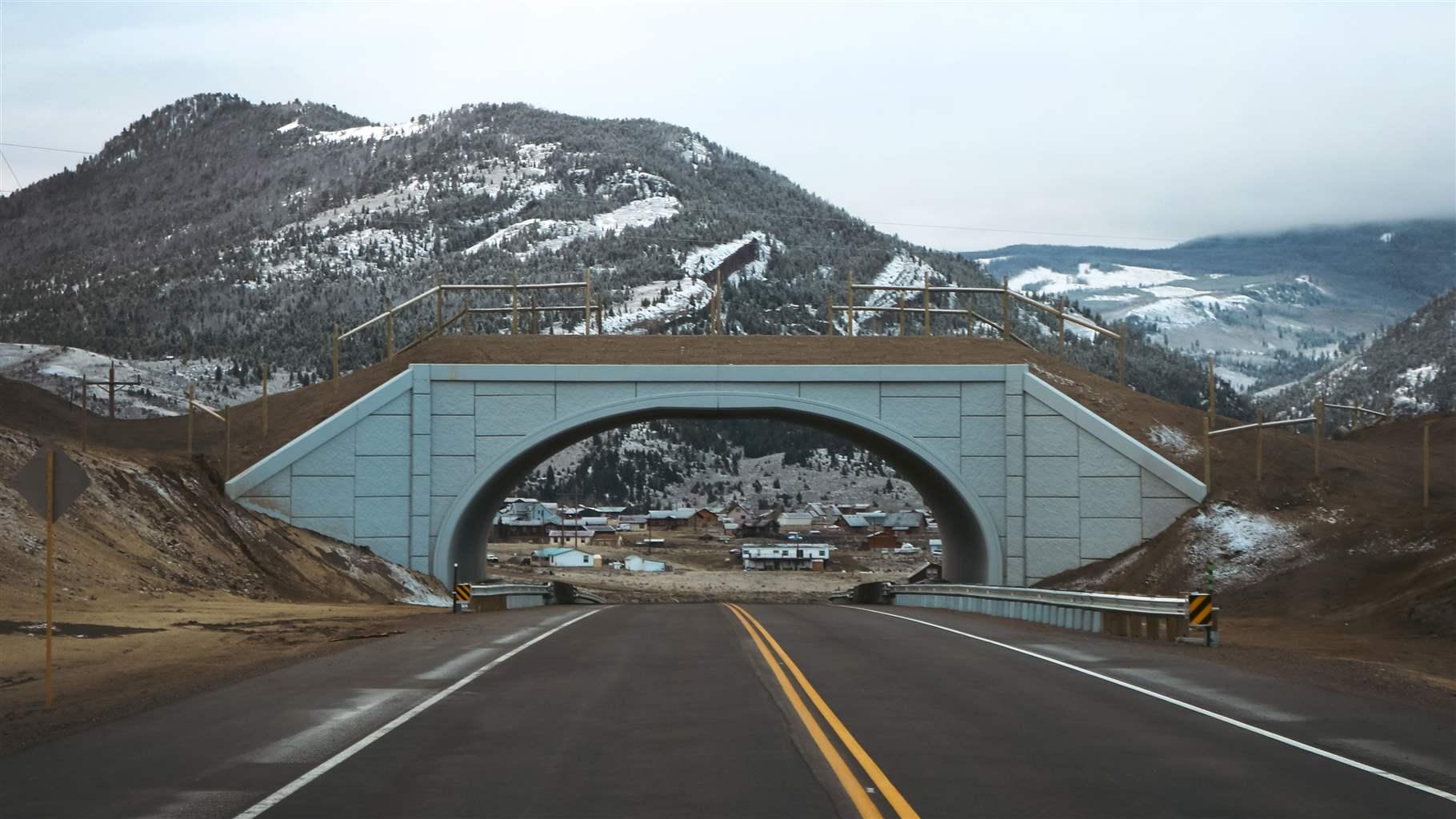 5 Reasons for Colorado to Build More Wildlife Crossings | The Pew ...