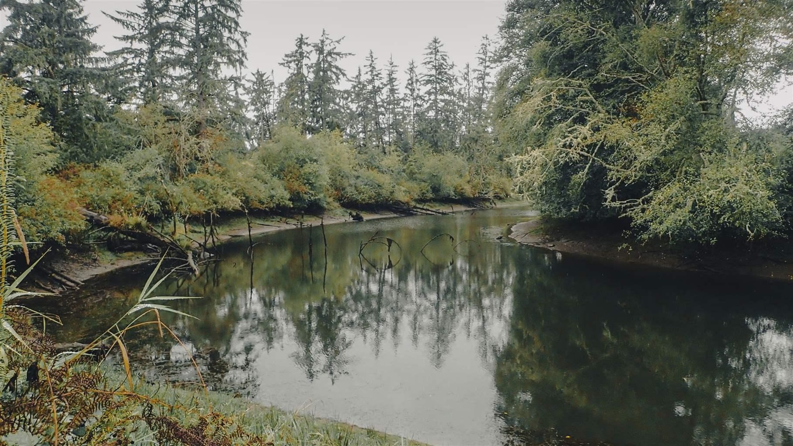 Smart Growth: How Wildlife Corridor Planning Pays Off for Local ...