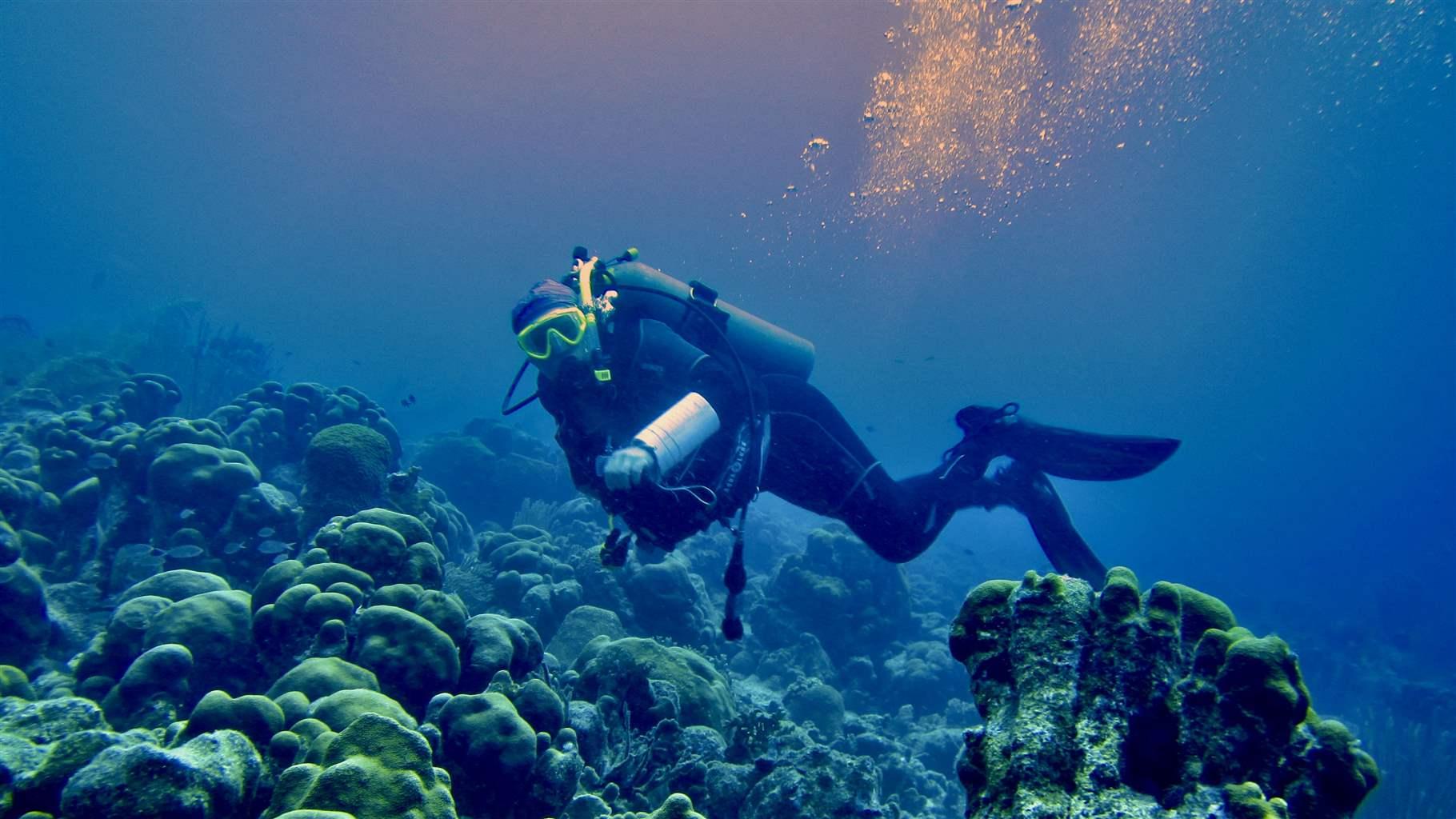 How Biomedical Innovation Is Powering Marine Conservation | The Pew ...