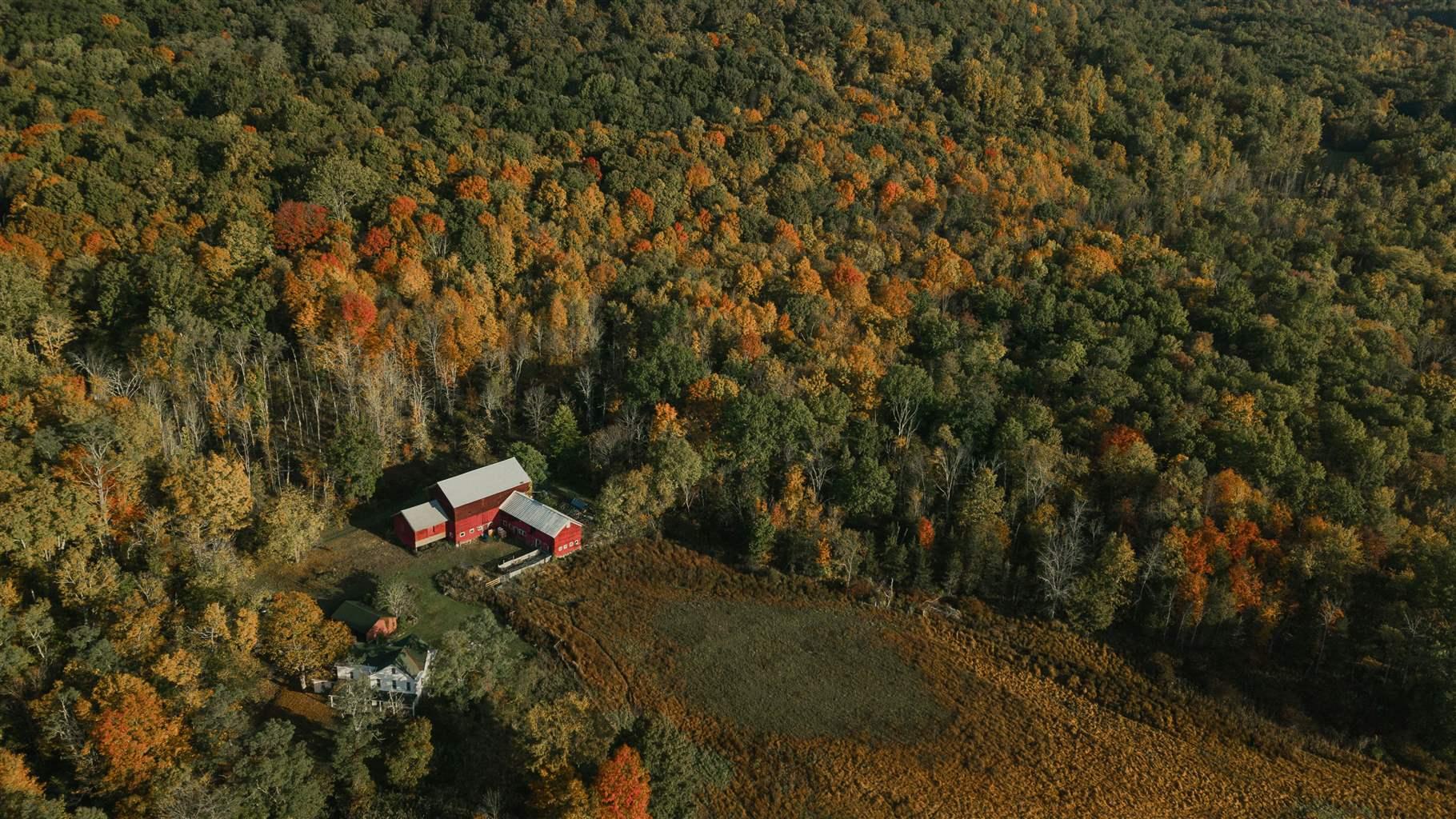 How States Can Boost Behavioral Health Services in Rural Communities ...