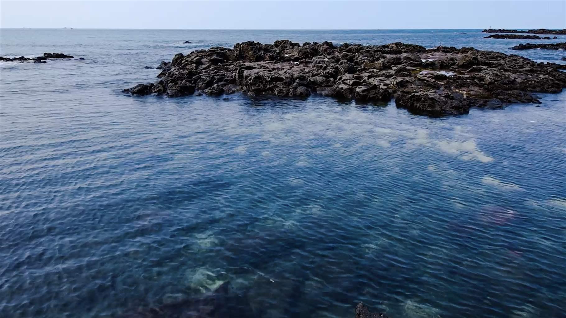To Help Save Atlantic Goliath Grouper, Researchers Turn to Local ...