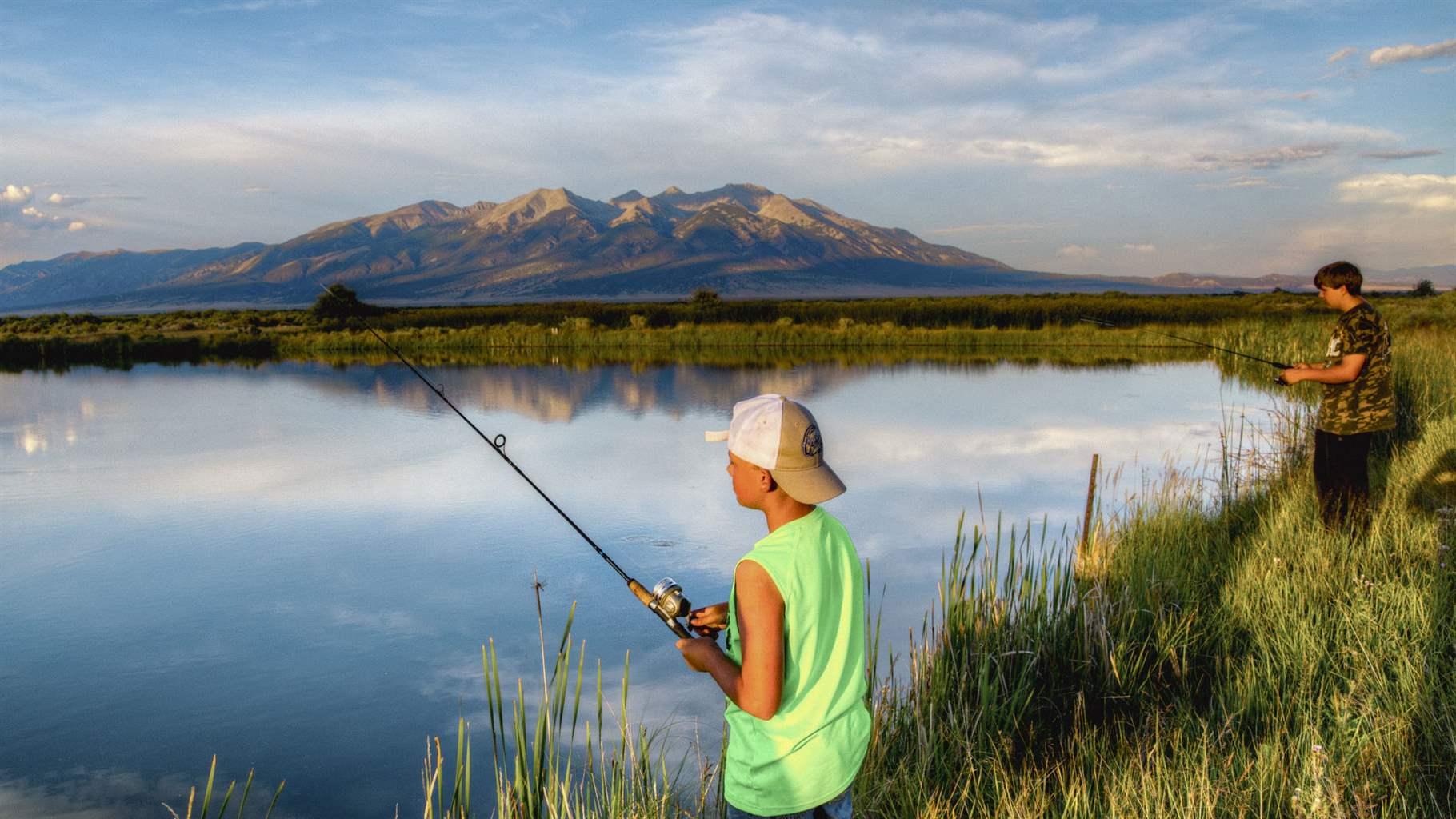 Smart Growth: How Wildlife Corridor Planning Pays Off for Local ...