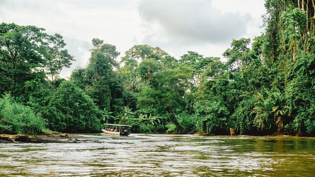 Pew and Partners Celebrate Costa Rica for Including Coastal Wetlands in ...