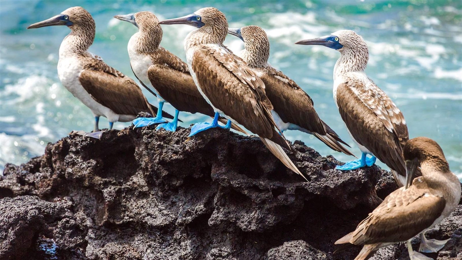 Prevent Overfishing Through Robust Fisheries Management | The Pew ...