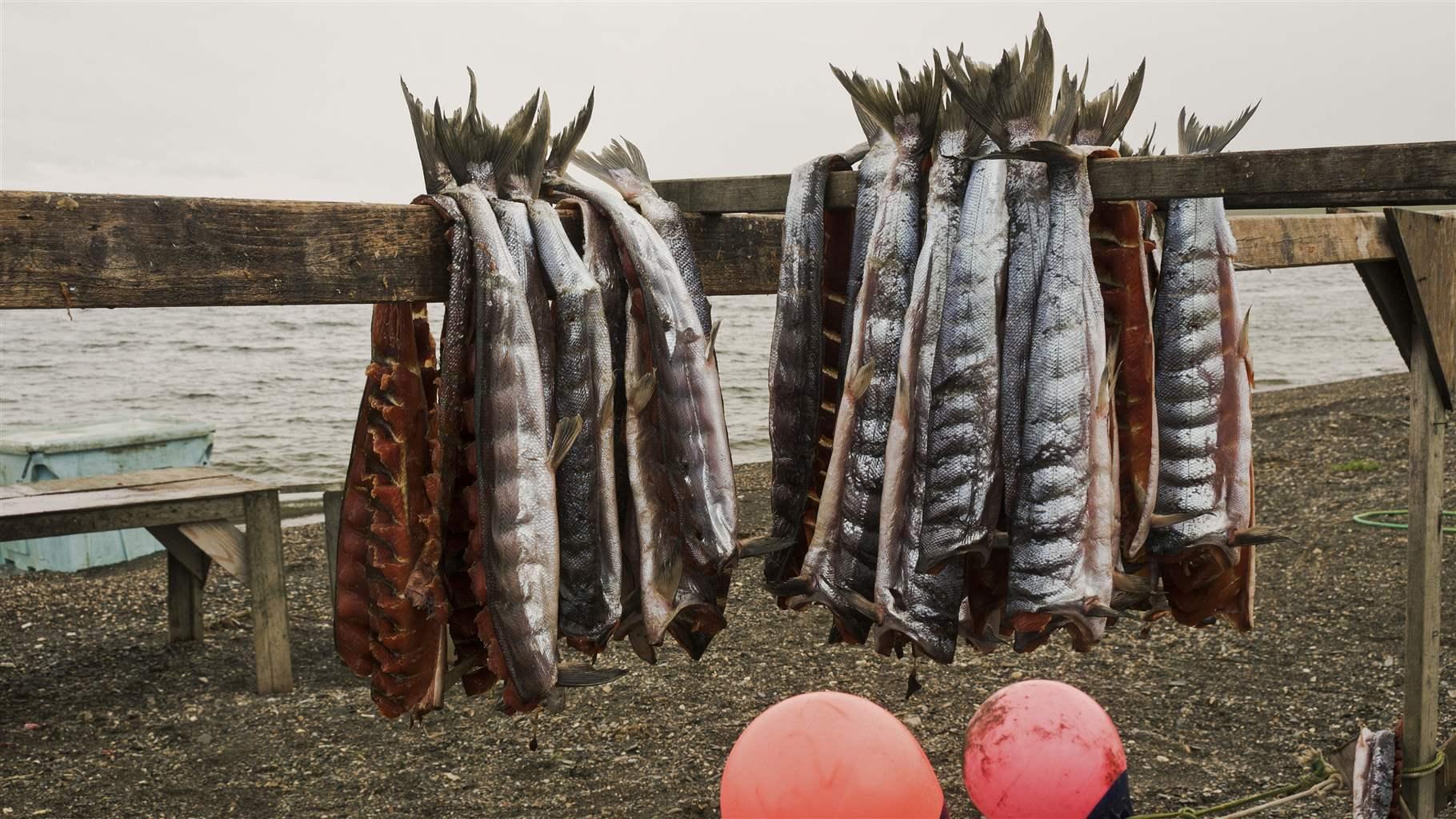 Alaskan Native Lands Could Lose Critical Protections | The Pew ...