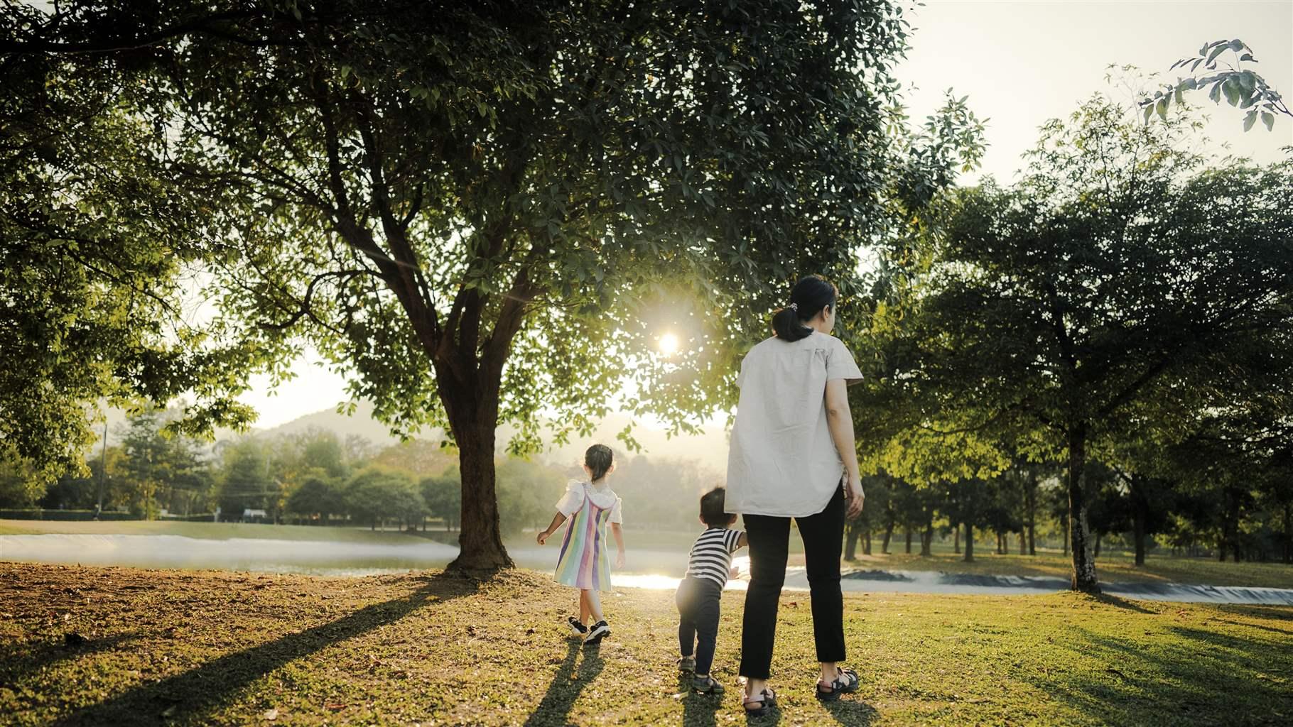 What Happens to Reserves When States Hit Rainy Day Fund Caps? | The Pew ...