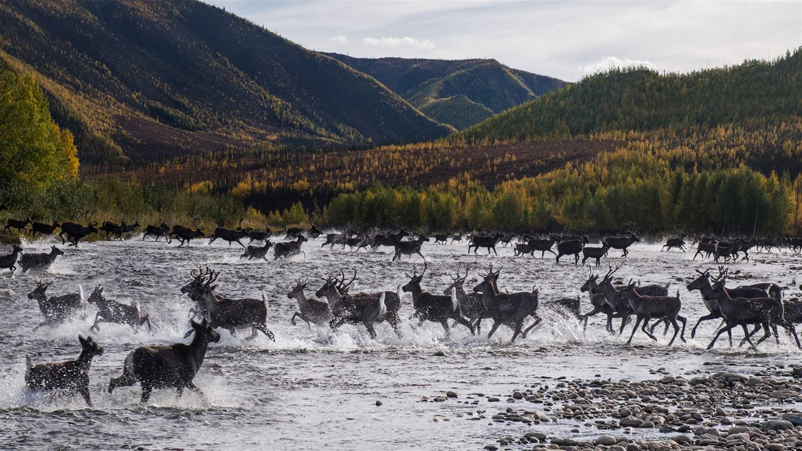 Alaskan Native Lands Could Lose Critical Protections | The Pew ...