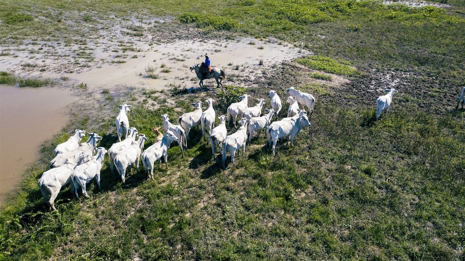 In Bolivia, Indigenous Peoples Are the Environment's Best Stewards ...