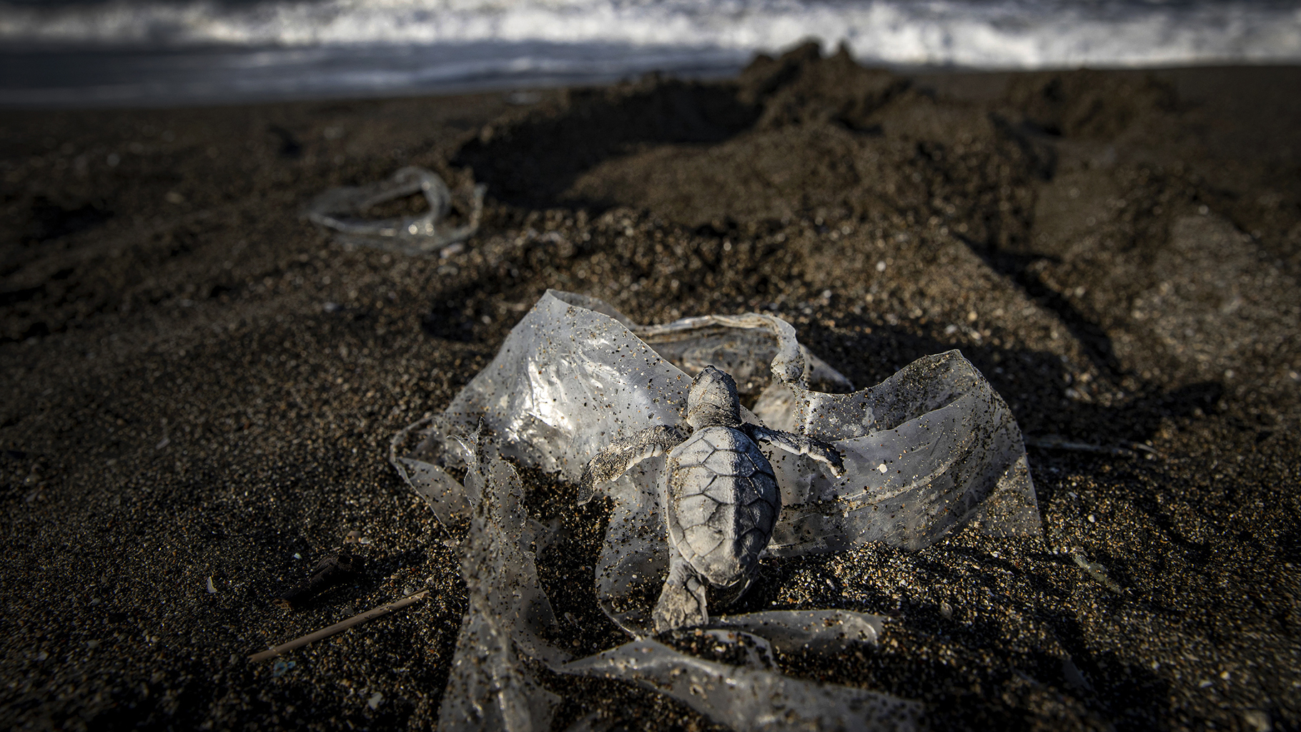 Breaking the Plastic Wave 2025 | The Pew Charitable Trusts